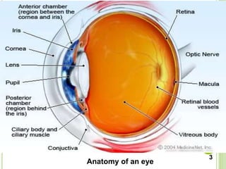 Barriers and routes of occular drug delivery system | PPTX