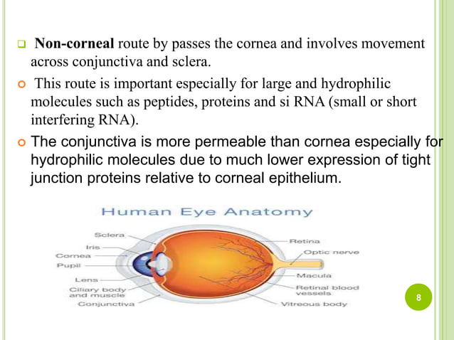 Barriers and routes of occular drug delivery system | PPTX