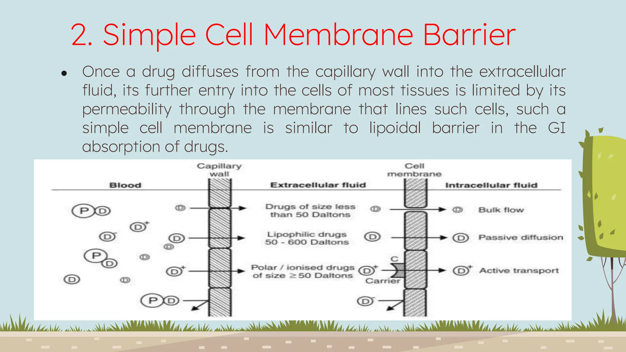 Physiological barriers to diffusion of drugs | PPTX