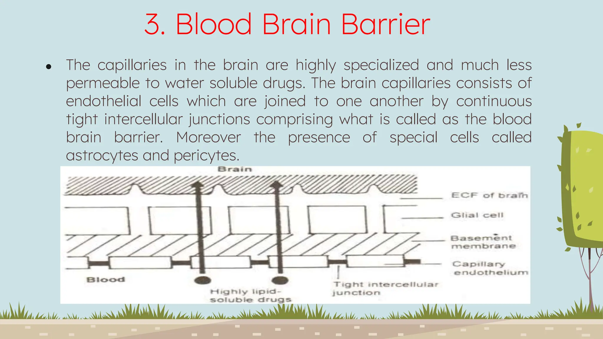 Physiological barriers to diffusion of drugs | PPTX