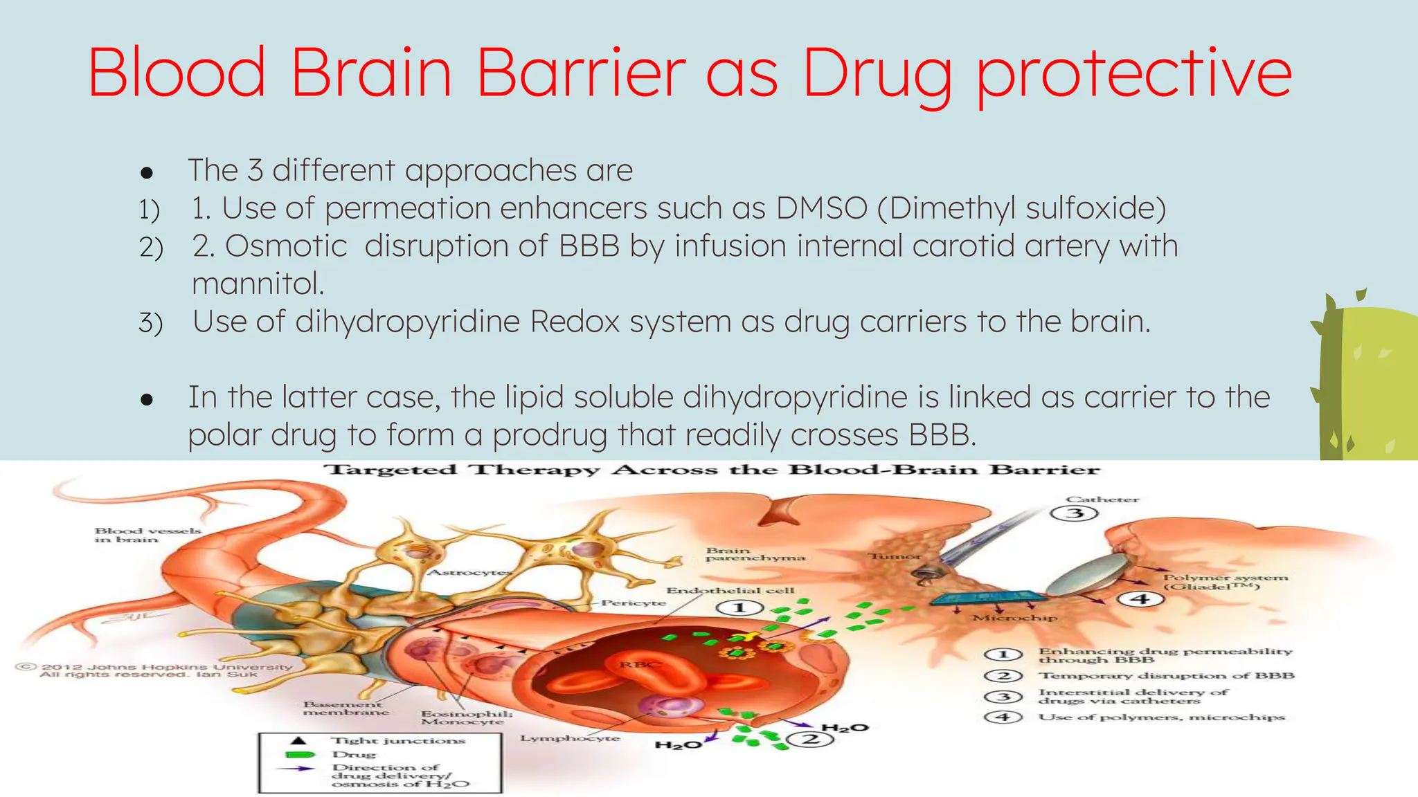 Physiological barriers to diffusion of drugs | PPTX