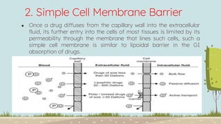Physiological barriers to diffusion of drugs | PPTX