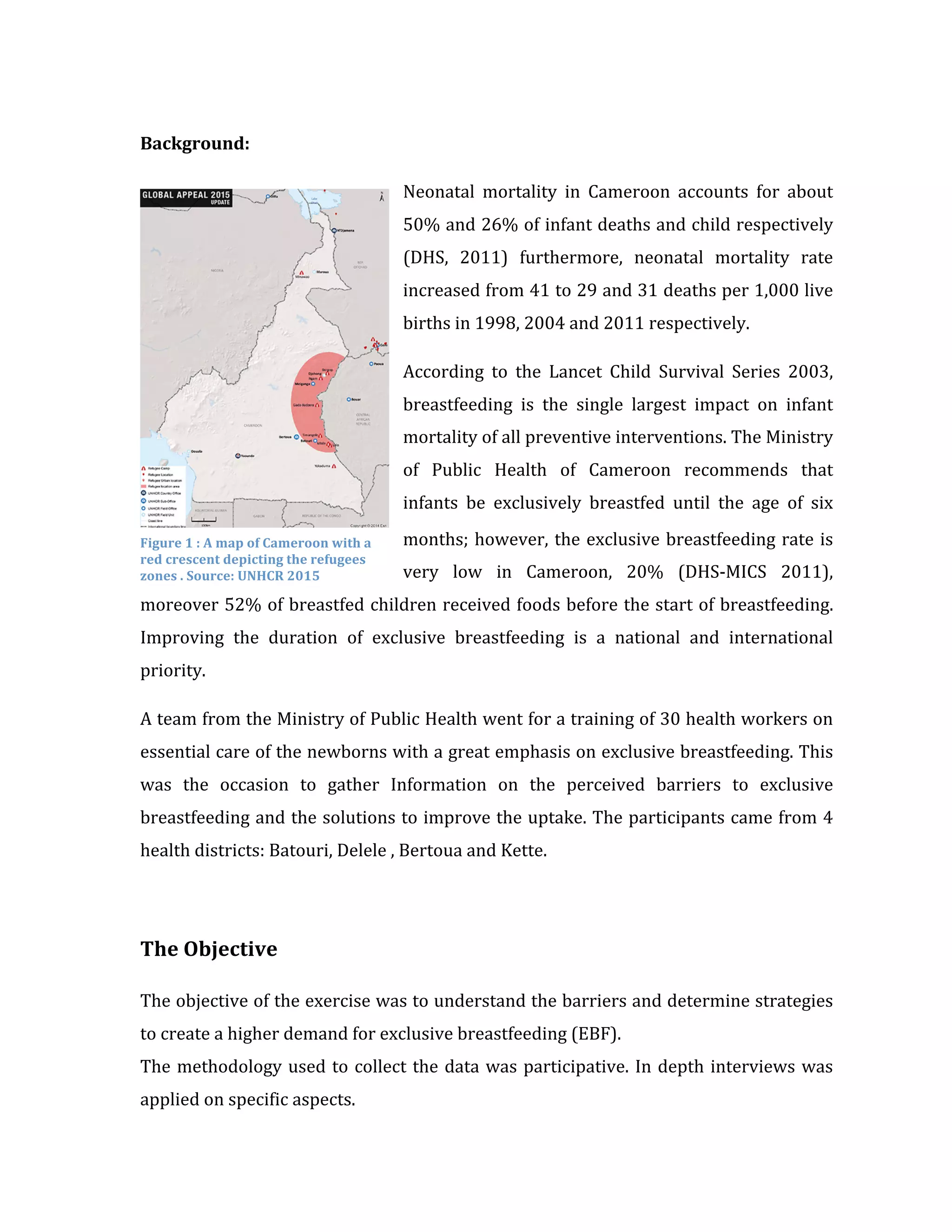 BARRIERS TO EXCLUSIVE BREASTFEEDING AND STRATEGIES TO IMPROVE THE ...