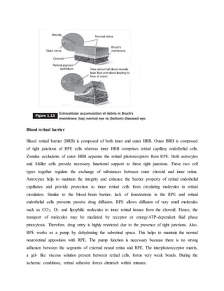 Barriers for ocular delivery | DOCX
