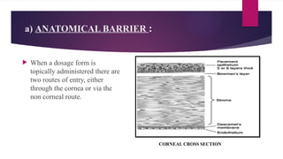 Barriers of Ocular drug delivery system.pptx