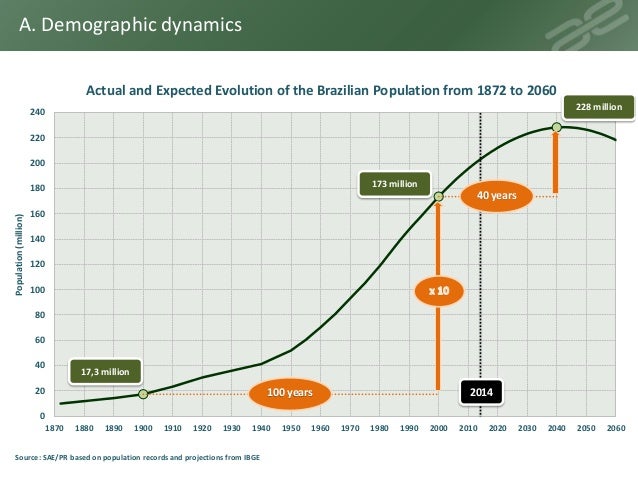 Brazilian Demographic Dynamics and Population Policy Responses