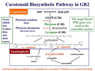 Barry delivery vit a | PDF | Agriculture | Industries