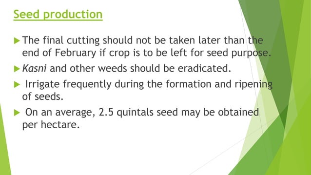 Barseem cultivation | PPTX | Agriculture | Industries