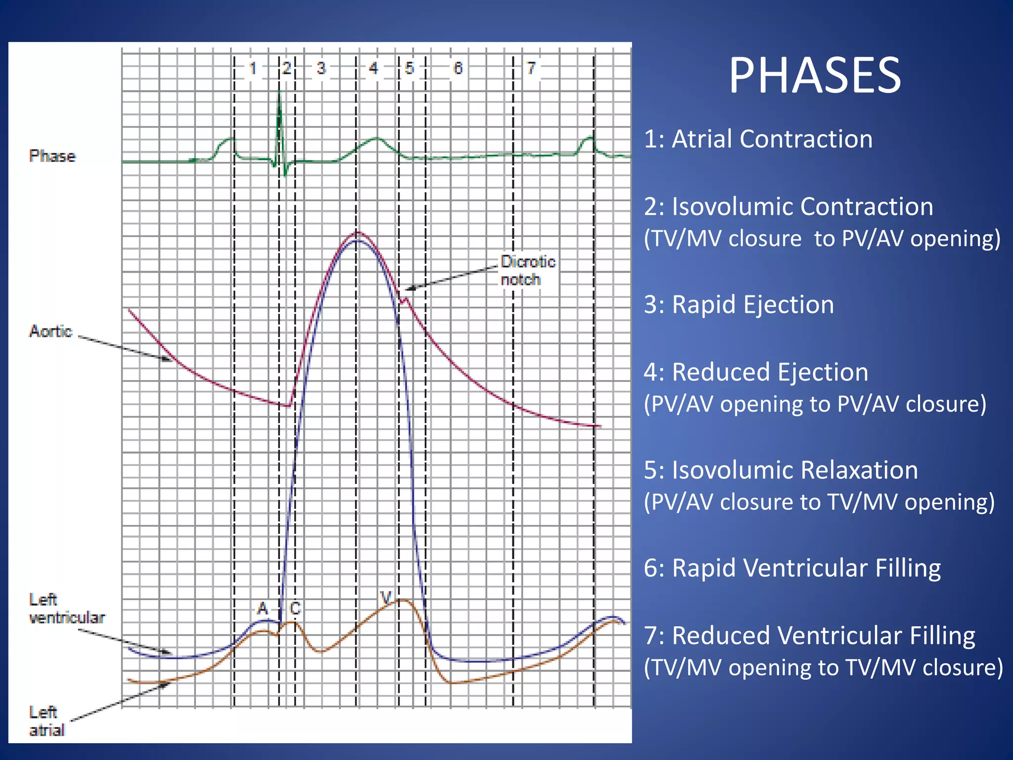 Barseghia-Basic-Hemodynamics.pptx