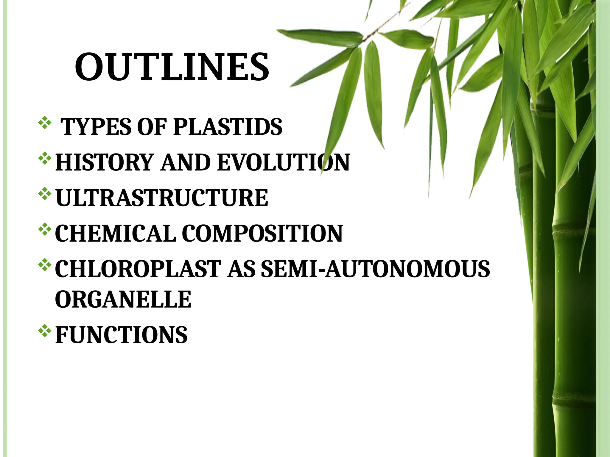 PPT on chloroplast ,topic of botany,Bsc botany. | PPTX