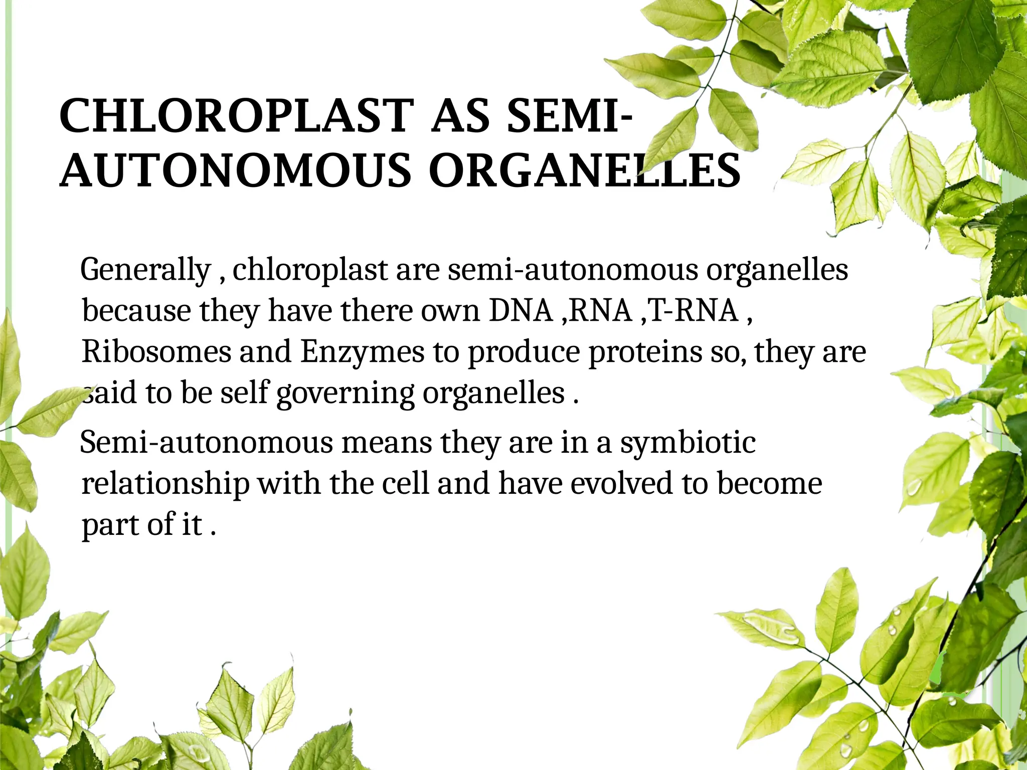 PPT on chloroplast ,topic of botany,Bsc botany. | PPTX