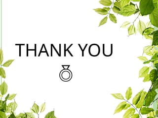PPT on chloroplast ,topic of botany,Bsc botany. | PPTX