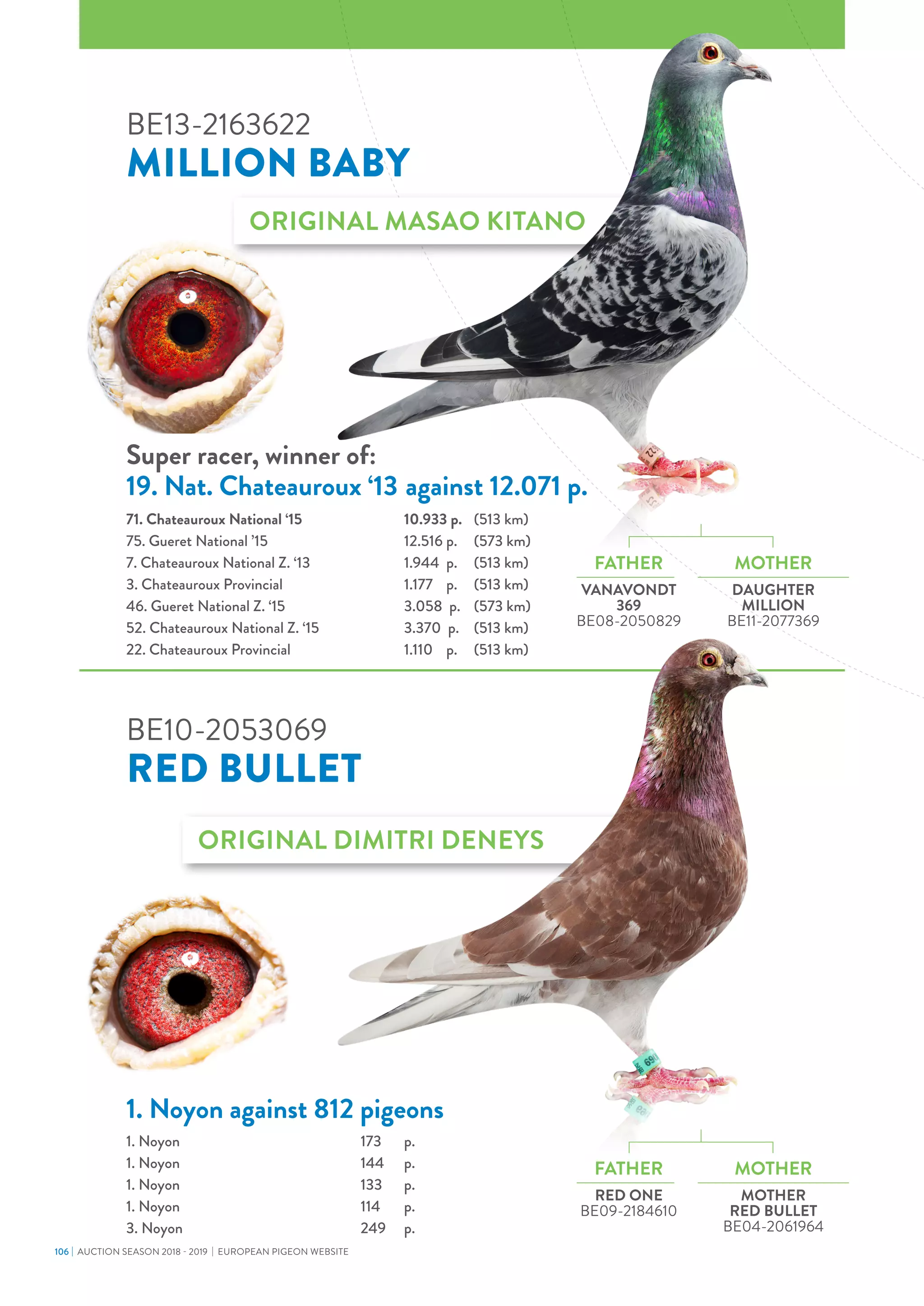 Bart Bassez, Dilsen-Stokkem (NL) | PDF