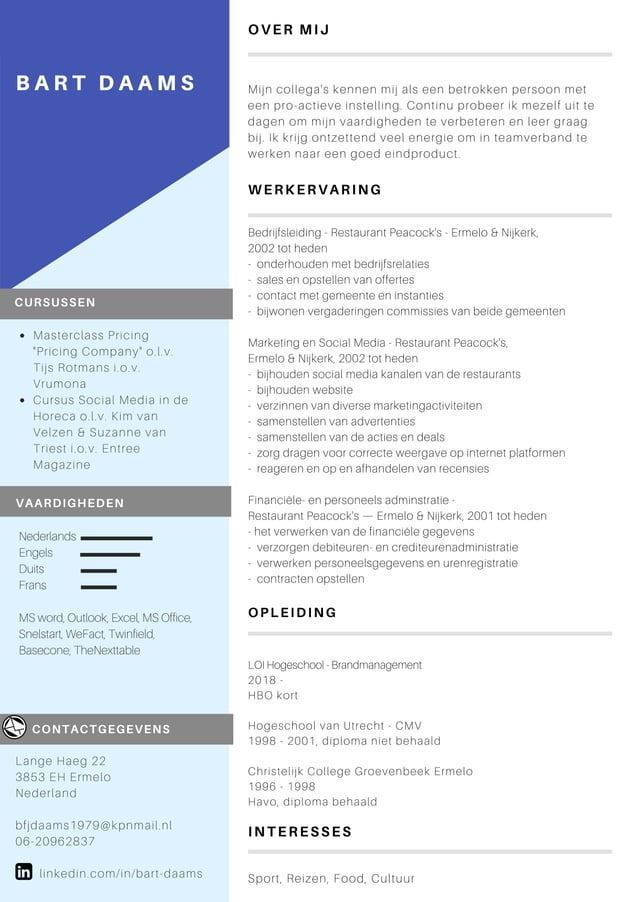 Bart Daams CV | PDF