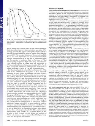 Targeting of TK1 to tumors for BNCT | PDF