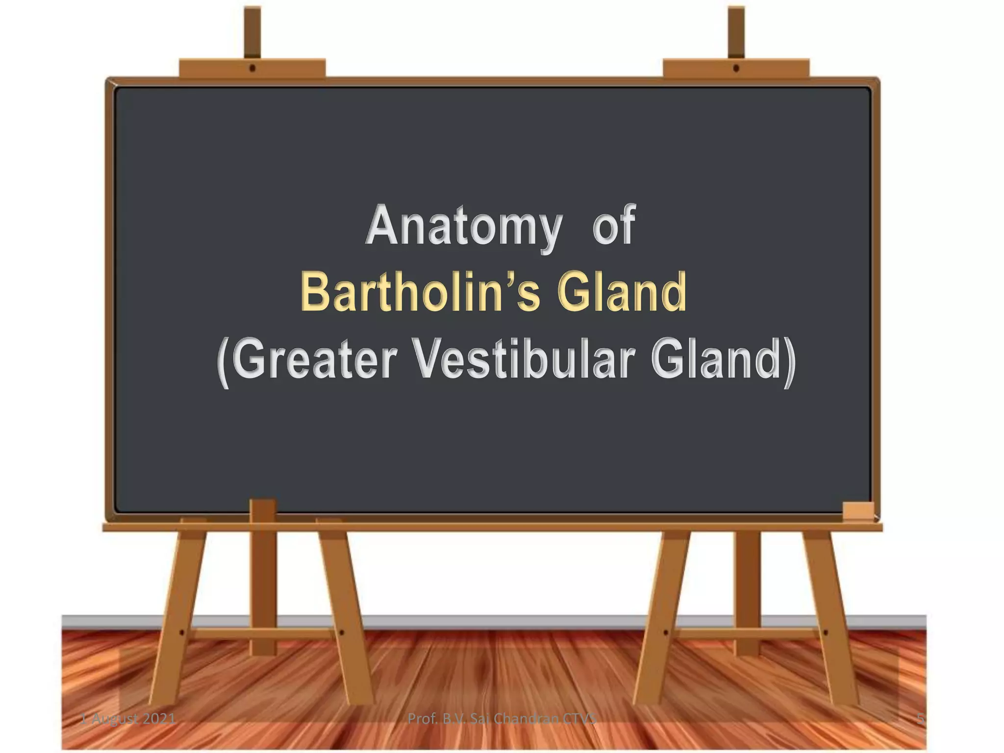 Bartholin gland cyst | PPTX