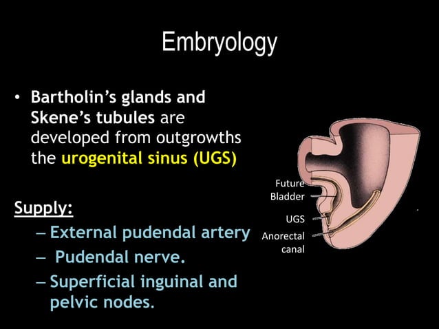 Bartholin gland cyst | PPTX