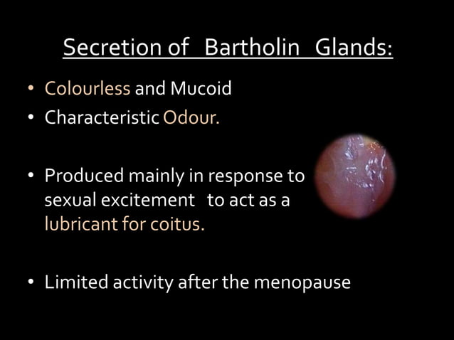 Bartholin gland cyst | PPTX