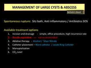 Bartholin Abscess Antibiotic