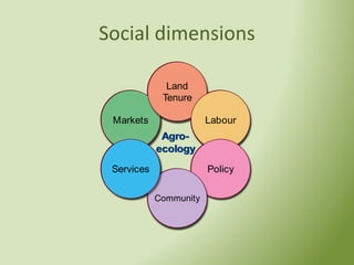 Social dimensions of agroecology | PPTX