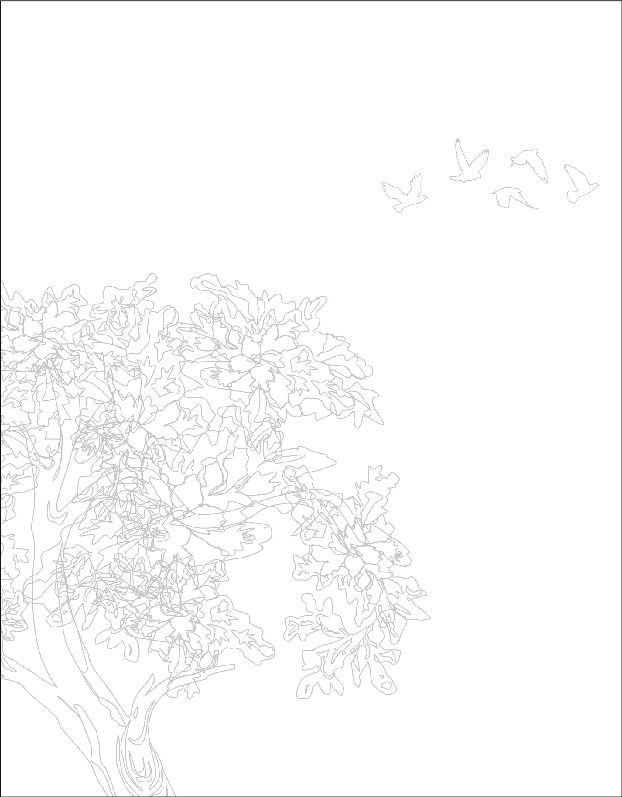 Bartley residences-brochure | PDF