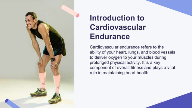 Cardiovascular Endurance and Its Benefits | PDF