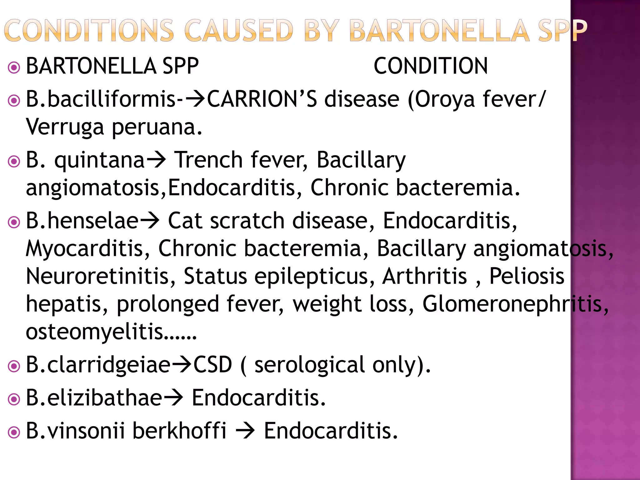 Bartonella.jp