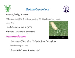 Bartonellosis: Zoonotic Overview | PDF