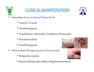 Bartonellosis: Zoonotic Overview | PDF