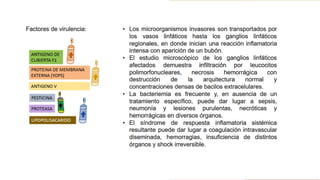 BARTONELOSIS VERRUGA PERUANA FIEBRE .pdf