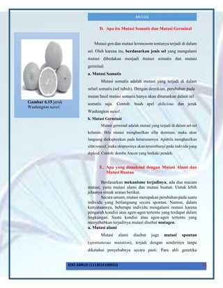buku tentang materi mutasi | PDF