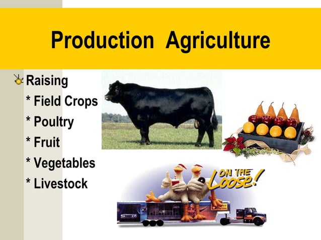 agriculture careers | PPT