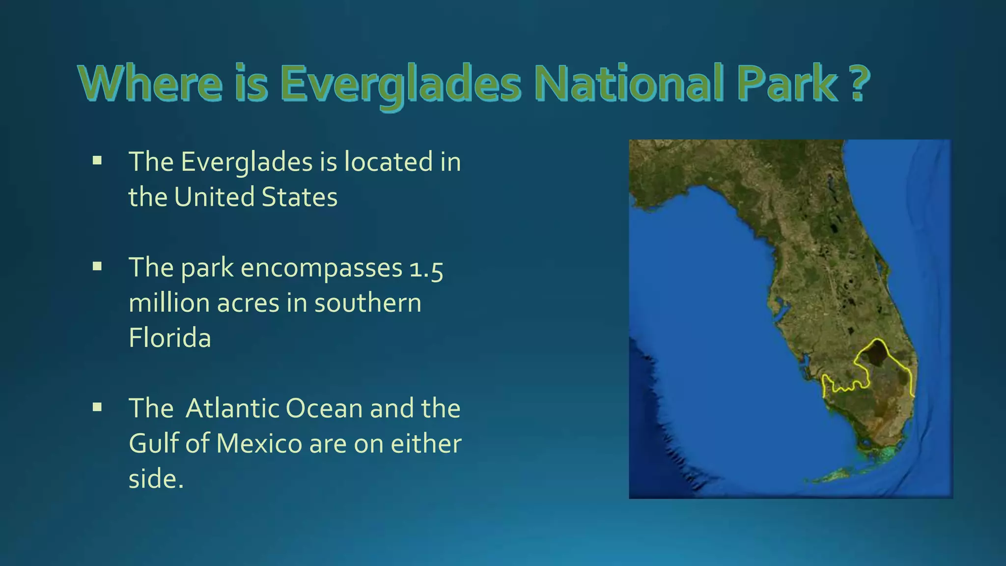 everglades national park_stephen_hong | PPTX