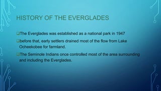 everglades national park_stephen_hong | PPTX