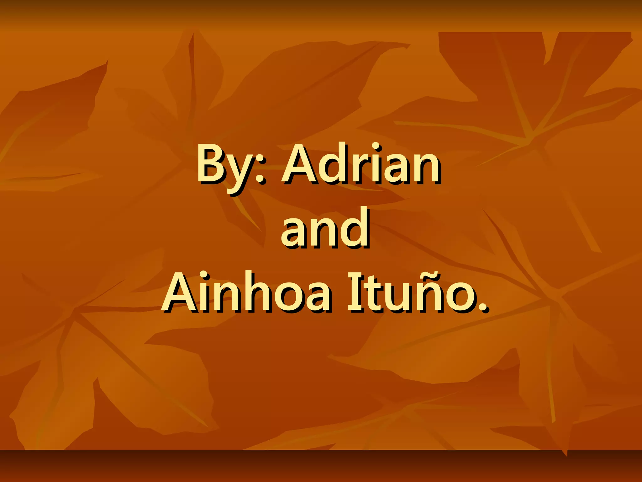 Basa andere ainhoa i,adrian | PPT