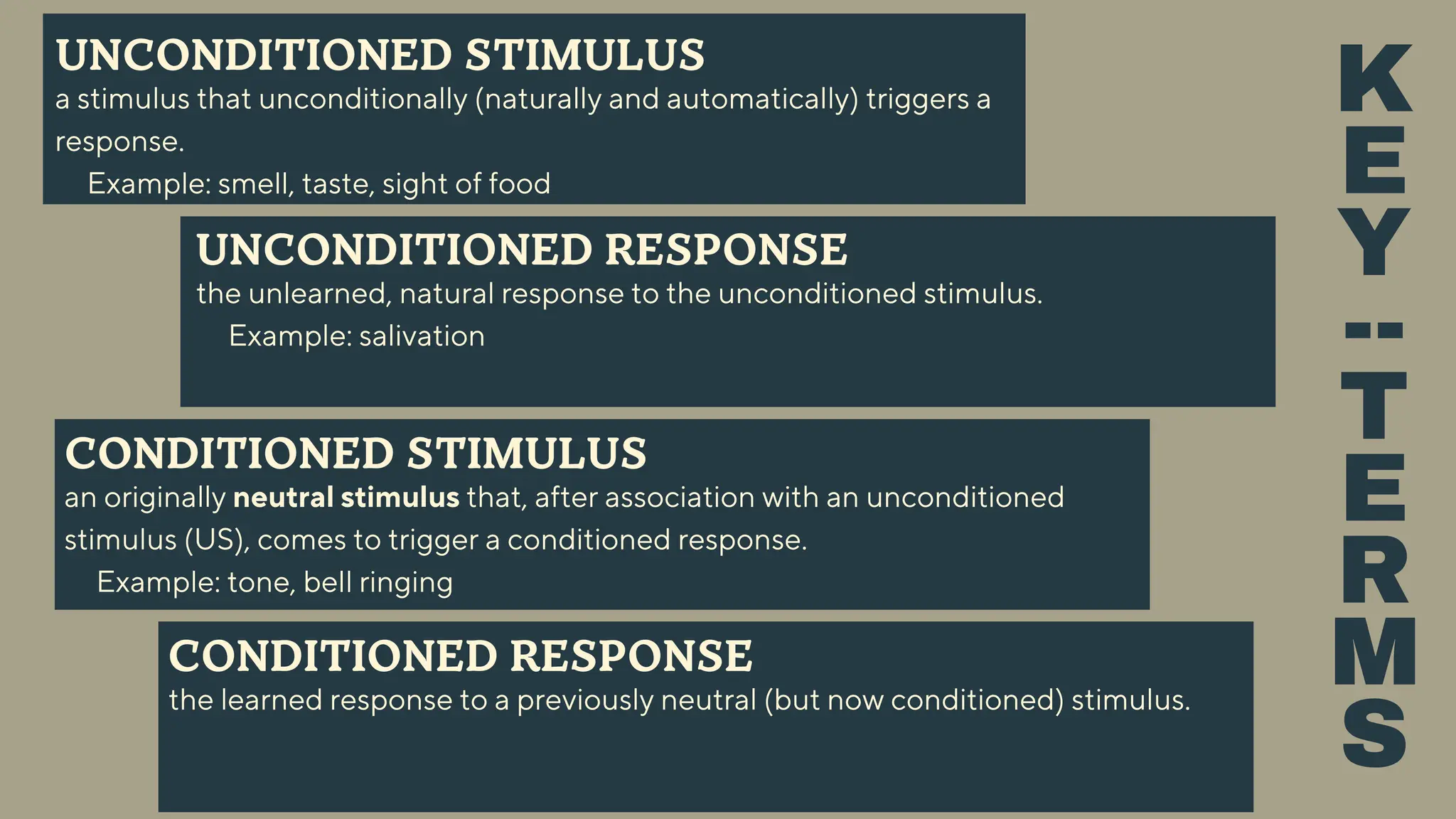 Classical Conditioning PowerPoint Presentation | PDF