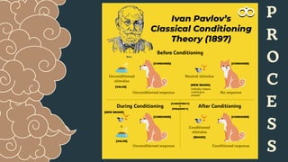 Classical Conditioning PowerPoint Presentation | PDF