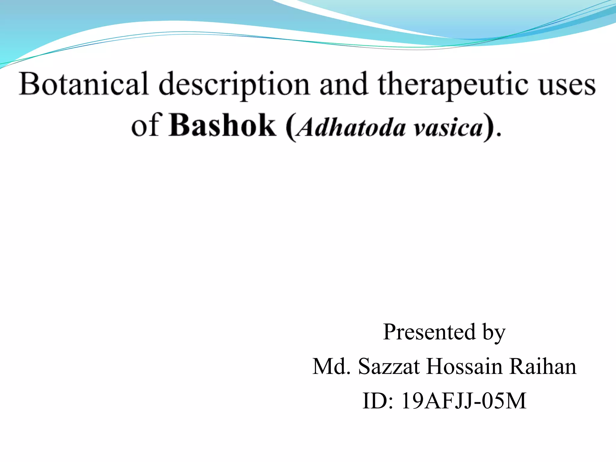 Botanical description and therapeutic uses of Bashok (Adhatoda vasica ...