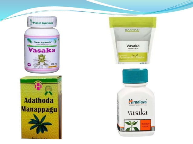 Botanical description and therapeutic uses of Bashok (Adhatoda vasica ...