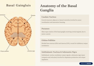 Basal-Ganglia-Anatomy-Functions-and-Clinical-Relevance.pdf