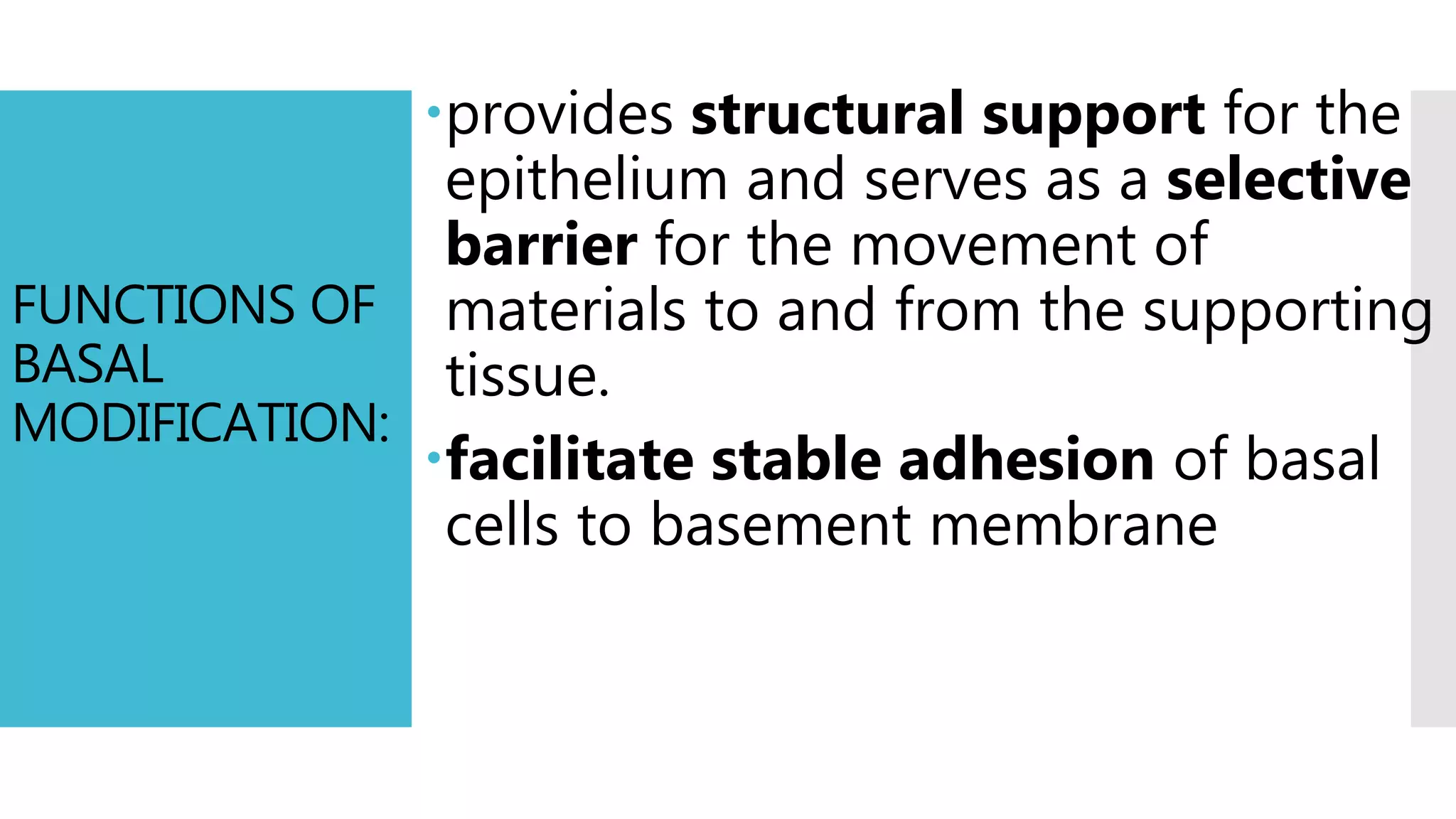 BASAL-MODIFICATION-PPT.pptx
