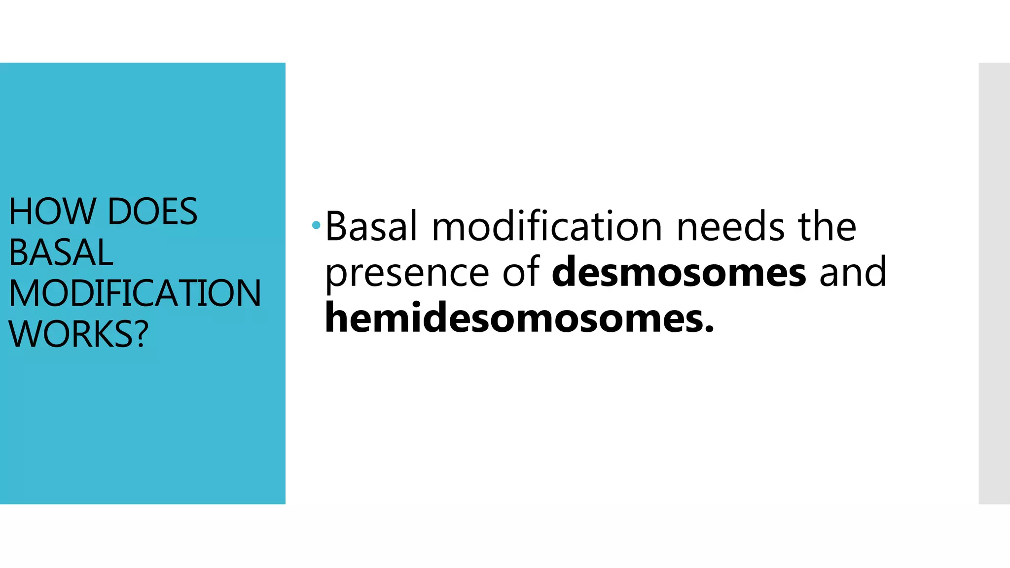BASAL-MODIFICATION-PPT.pptx