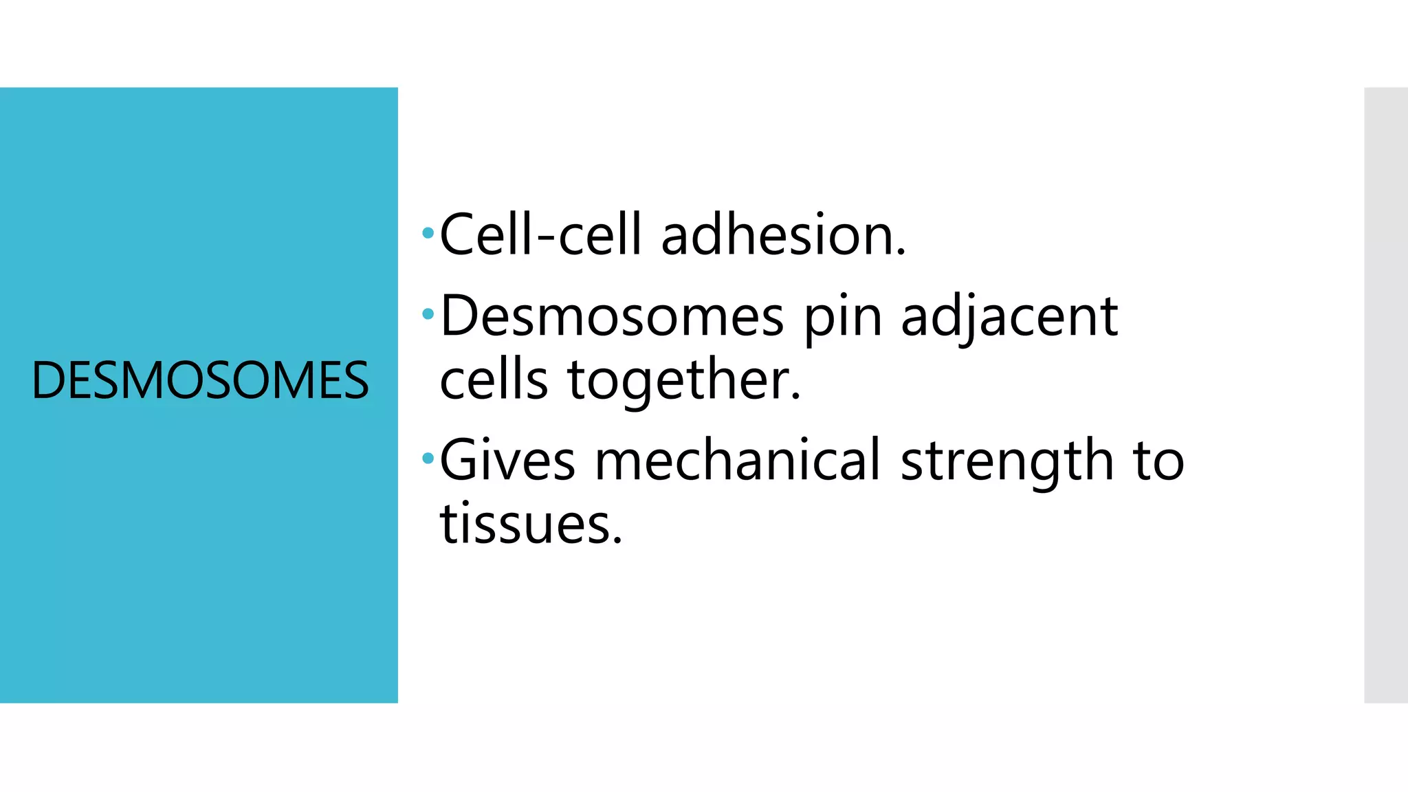 BASAL-MODIFICATION-PPT.pptx