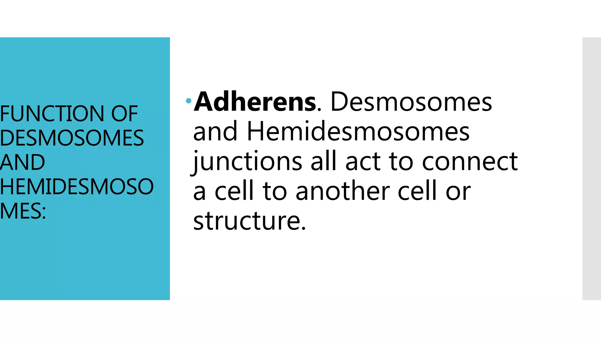 BASAL-MODIFICATION-PPT.pptx