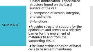 BASAL-MODIFICATION-PPT.pptx