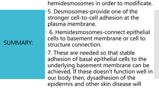 BASAL-MODIFICATION-PPT.pptx