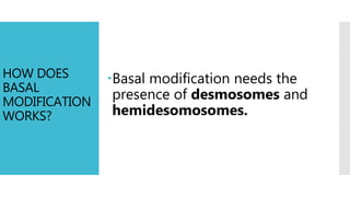 BASAL-MODIFICATION-PPT.pptx