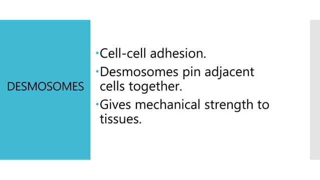 BASAL-MODIFICATION-PPT.pptx | Biological Sciences | Science
