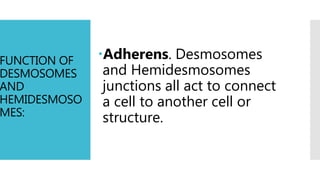 BASAL-MODIFICATION-PPT.pptx