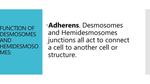 BASAL-MODIFICATION-PPT.pptx | Biological Sciences | Science